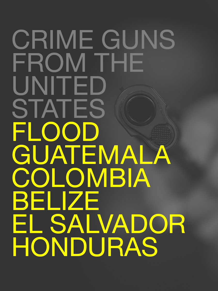 Infographics - Global Action on Gun Violence