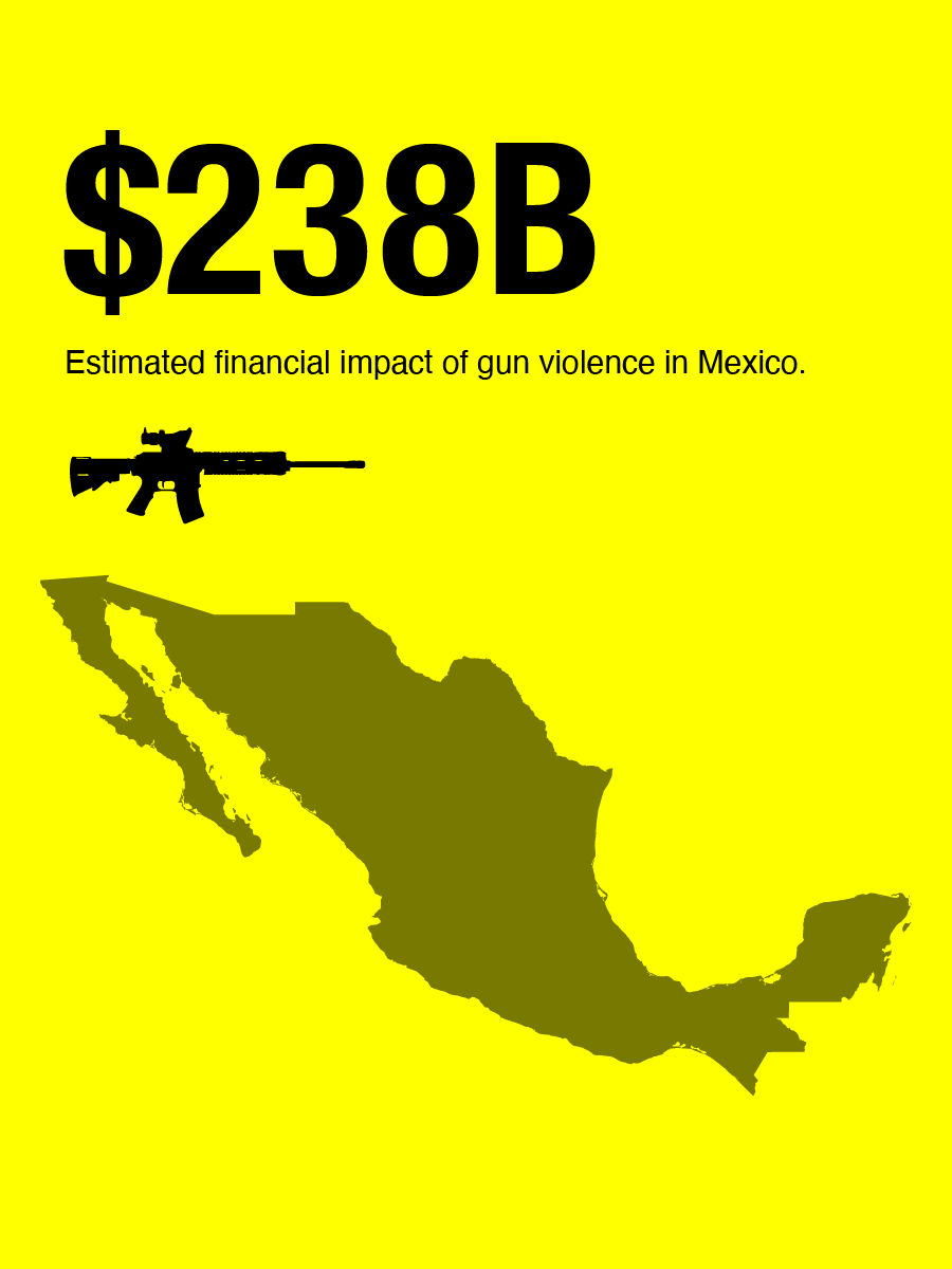 Infographics - Global Action on Gun Violence