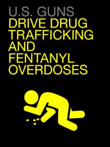 Infographics - Global Action on Gun Violence